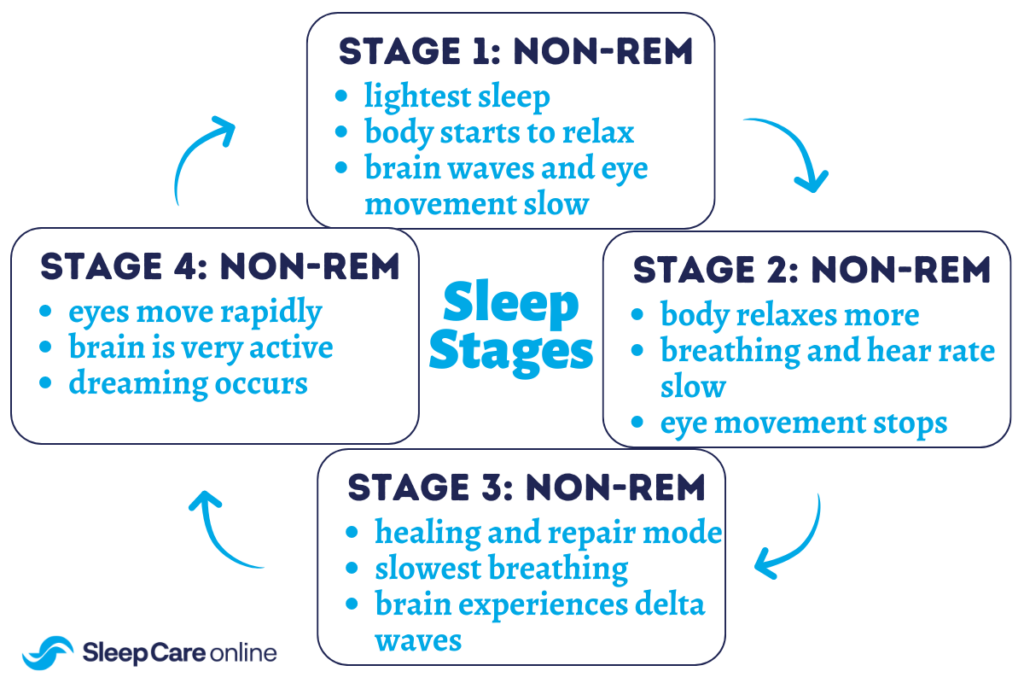 What Are The Four Stages Of Sleep? - Sleep Care Online