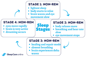What Are The Four Stages Of Sleep? - Sleep Care Online